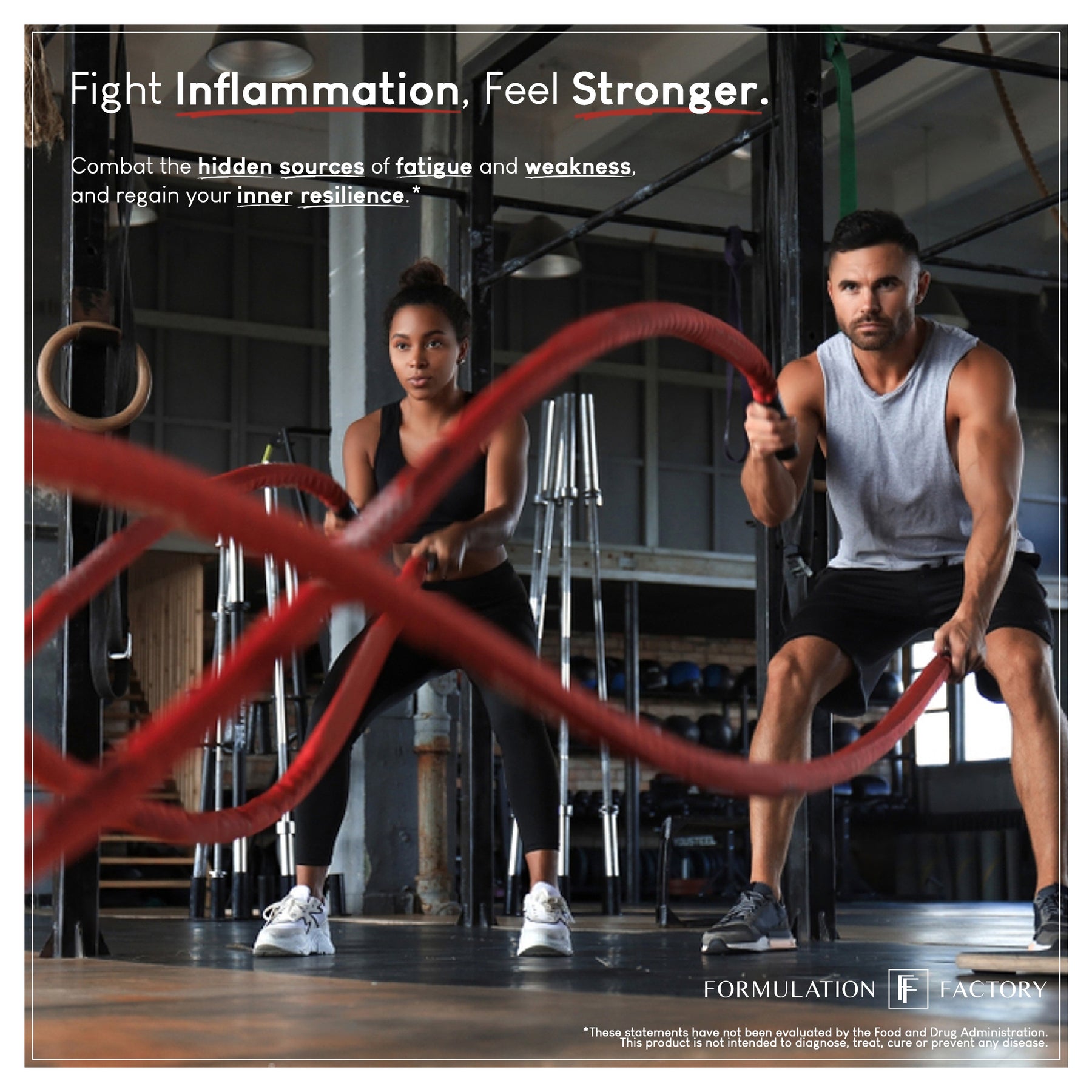 Heart of Steel: 10-in-1 Metabolic Maximizer – Formulation Factory